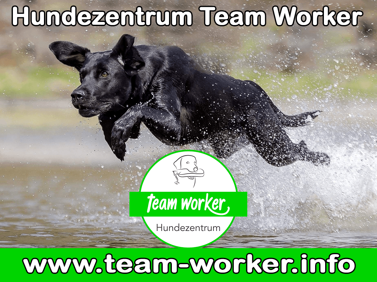 23.03.2025 - Dummy-Seminar „Walk up und Arbeiten aus der Line“